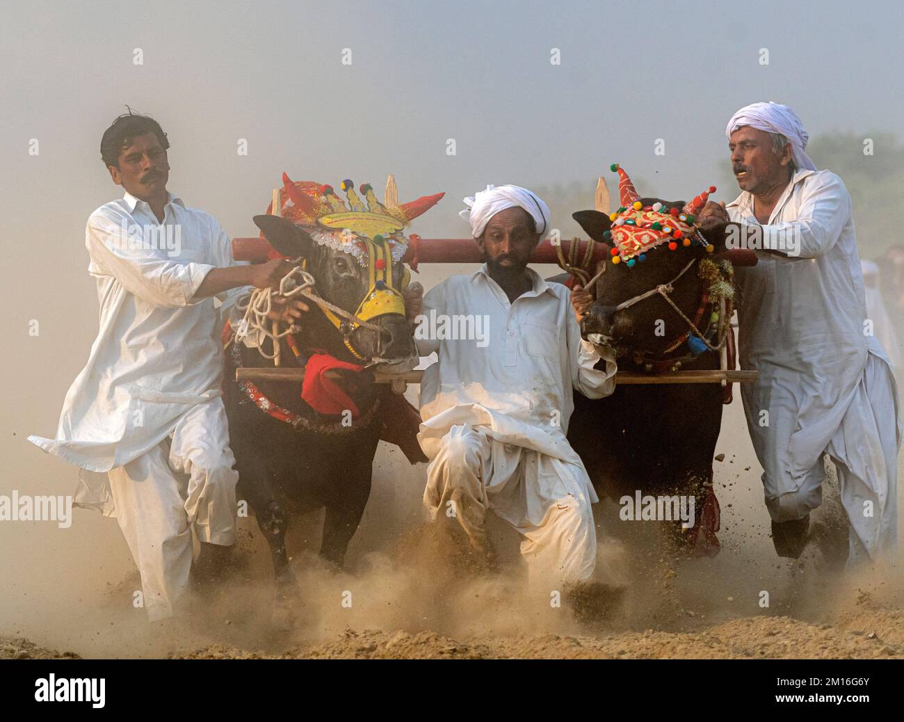 The people of Punjab village in white clothing in Bull Karah race ...