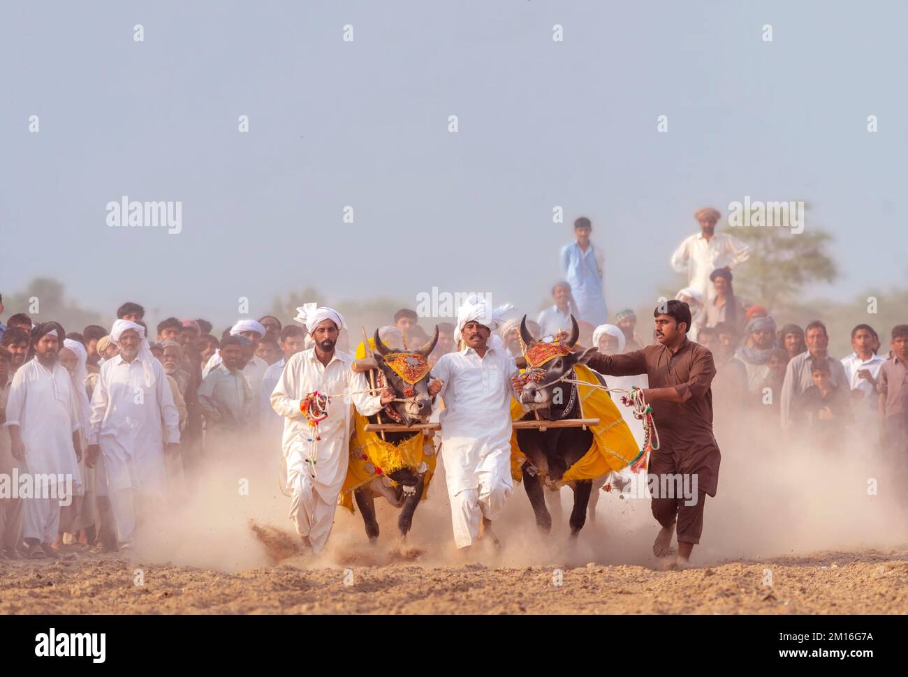 The people of Punjab village in white clothing in Bull Karah race ...