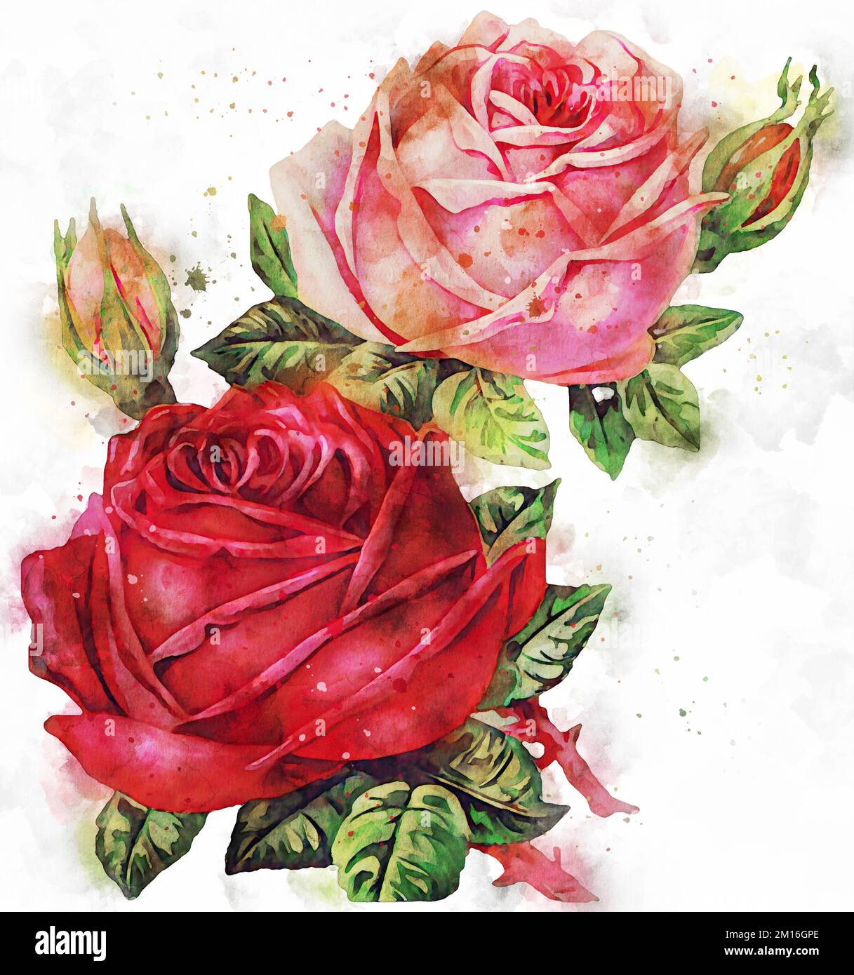 Watercolor Flower Illustration Stock Photo - Alamy