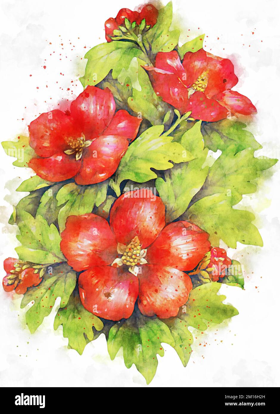 Watercolor Flower Illustration Stock Photo - Alamy