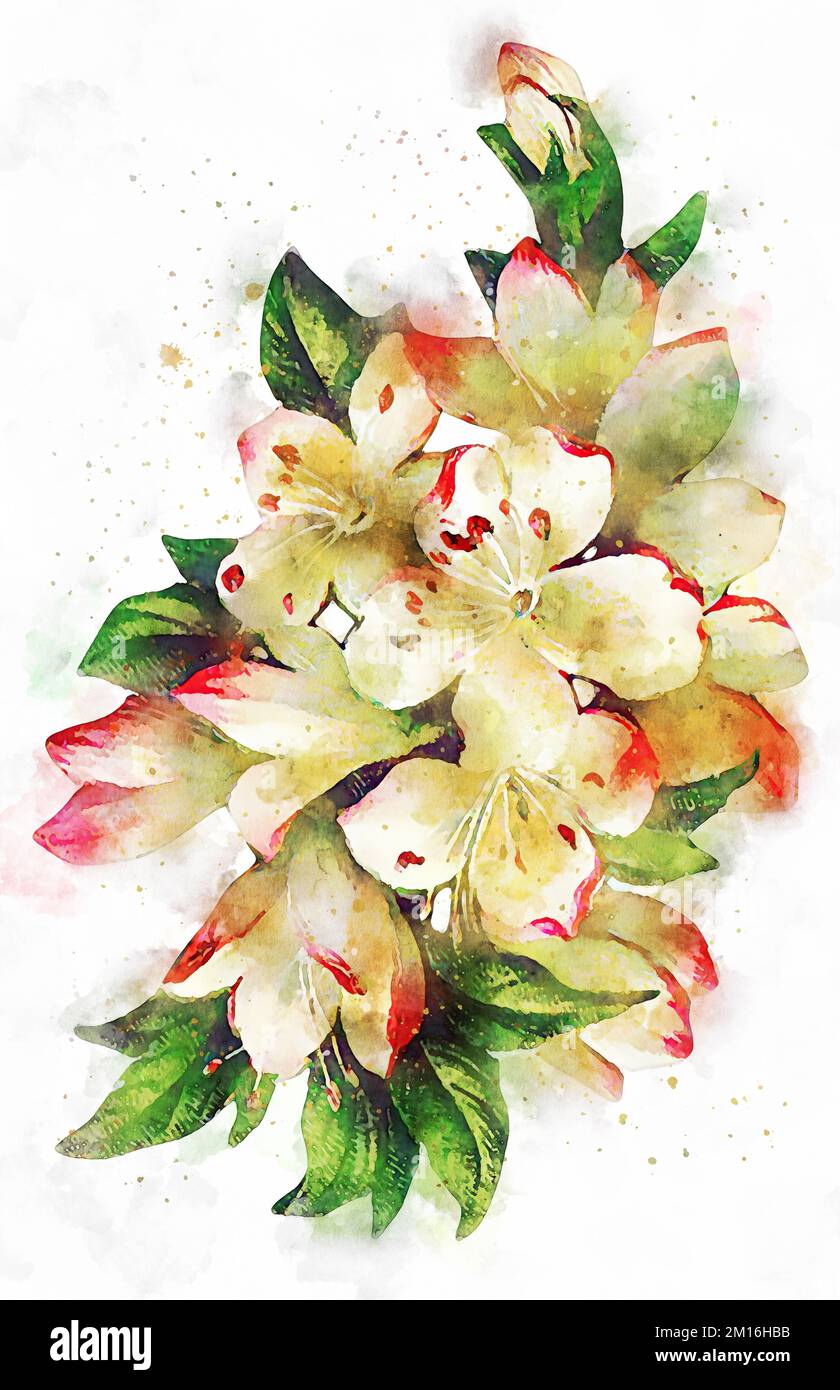Watercolor Flower Illustration Stock Photo - Alamy