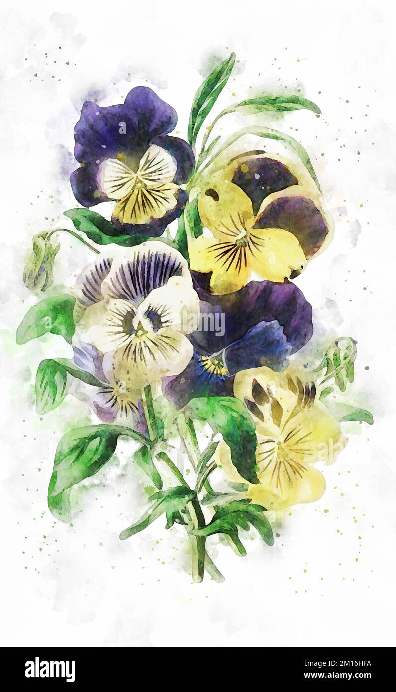 Watercolor Flower Illustration Stock Photo - Alamy