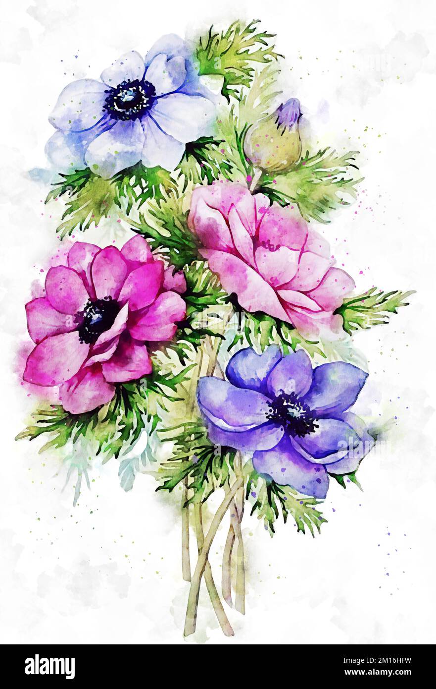Watercolor Flower Illustration Stock Photo - Alamy