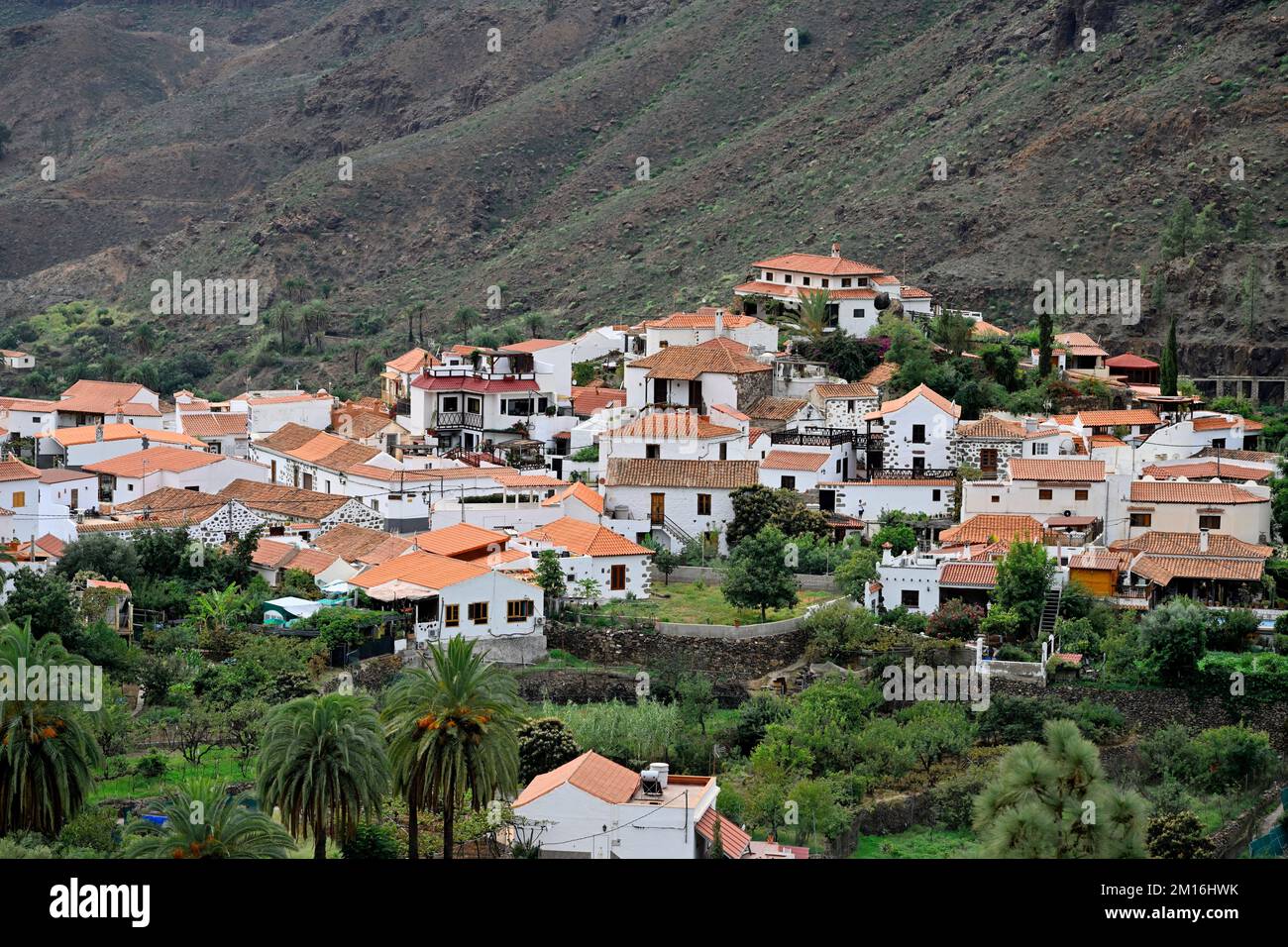 View of rural mountain village of Fataga in San Bartolomé de Tirajana valley, Gran Canaria Stock ...