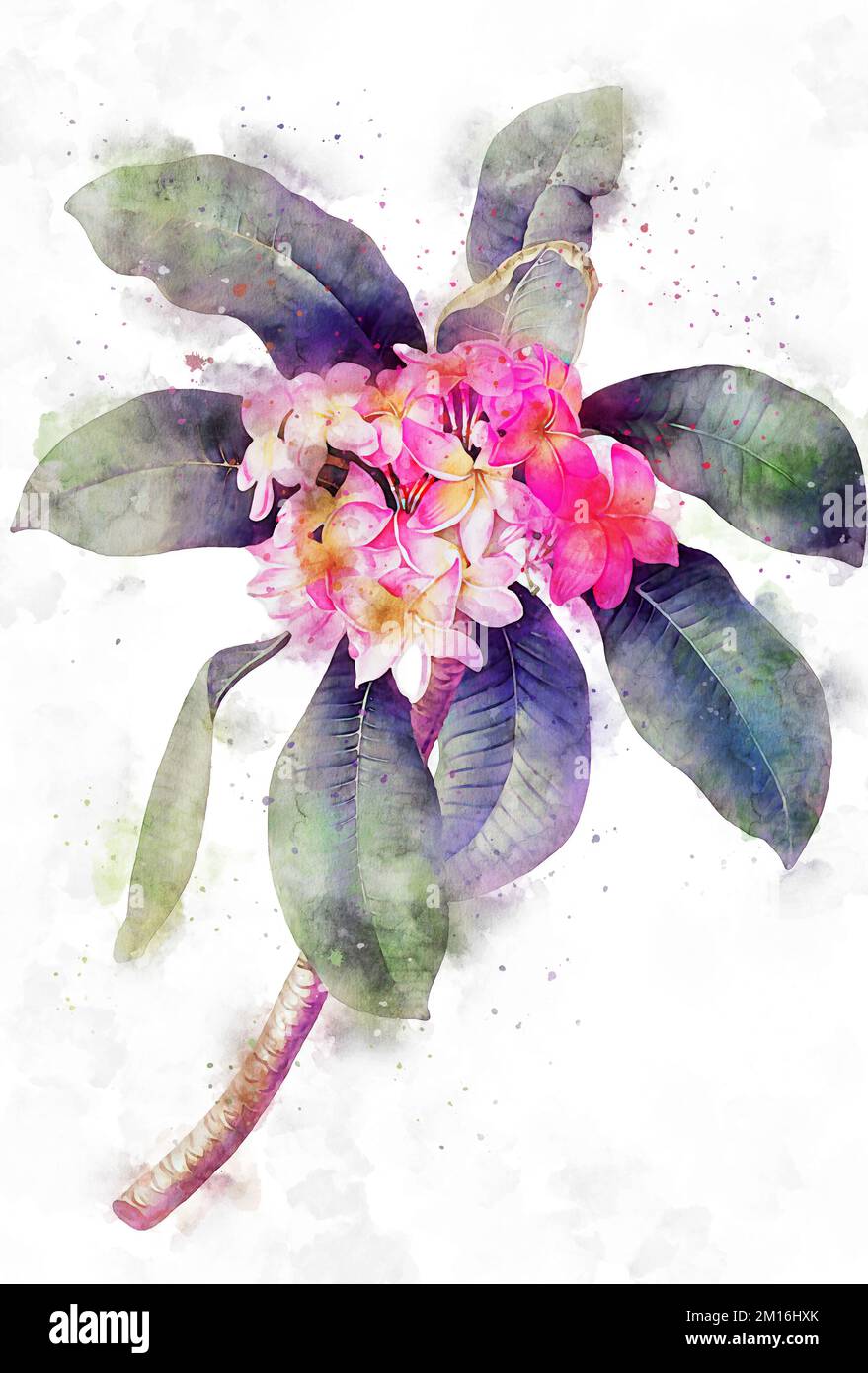 Watercolor Flower Illustration Stock Photo - Alamy