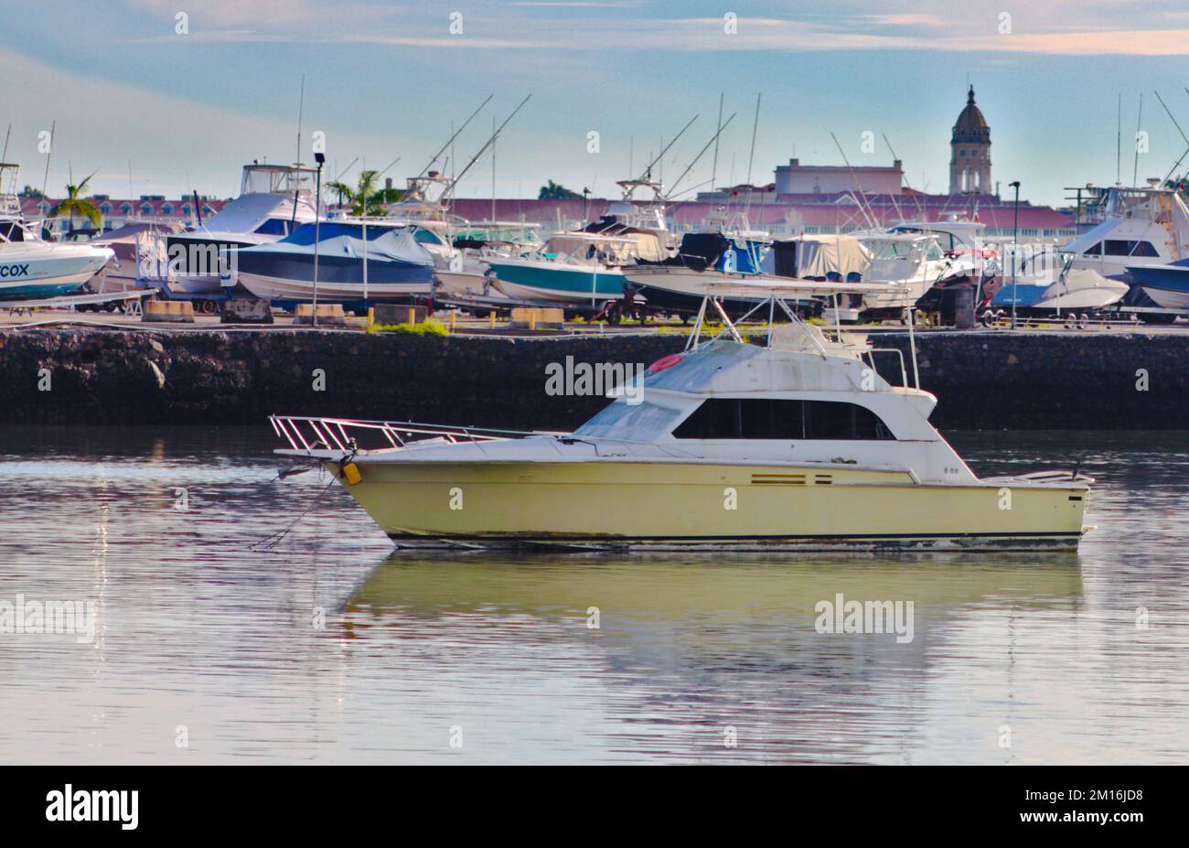 white boat with black windows, behind other boats Stock Photo - Alamy