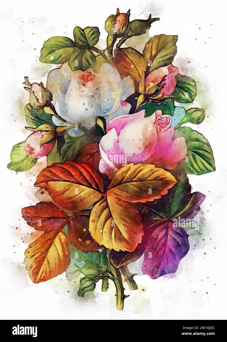Watercolor Flower Illustration Stock Photo - Alamy