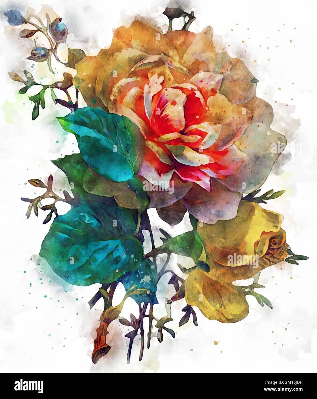 Watercolor Flower Illustration Stock Photo - Alamy