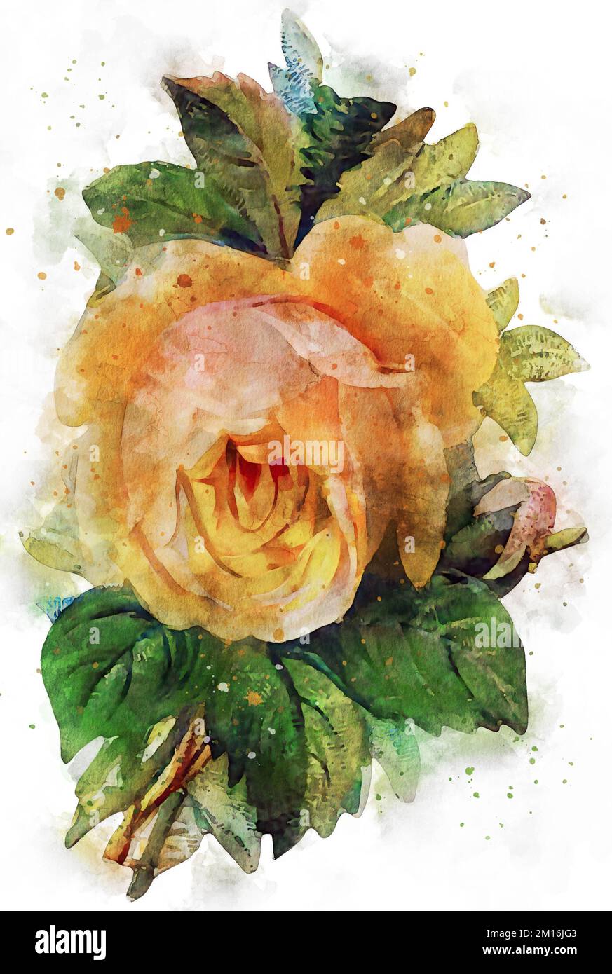 Watercolor Flower Illustration Stock Photo - Alamy