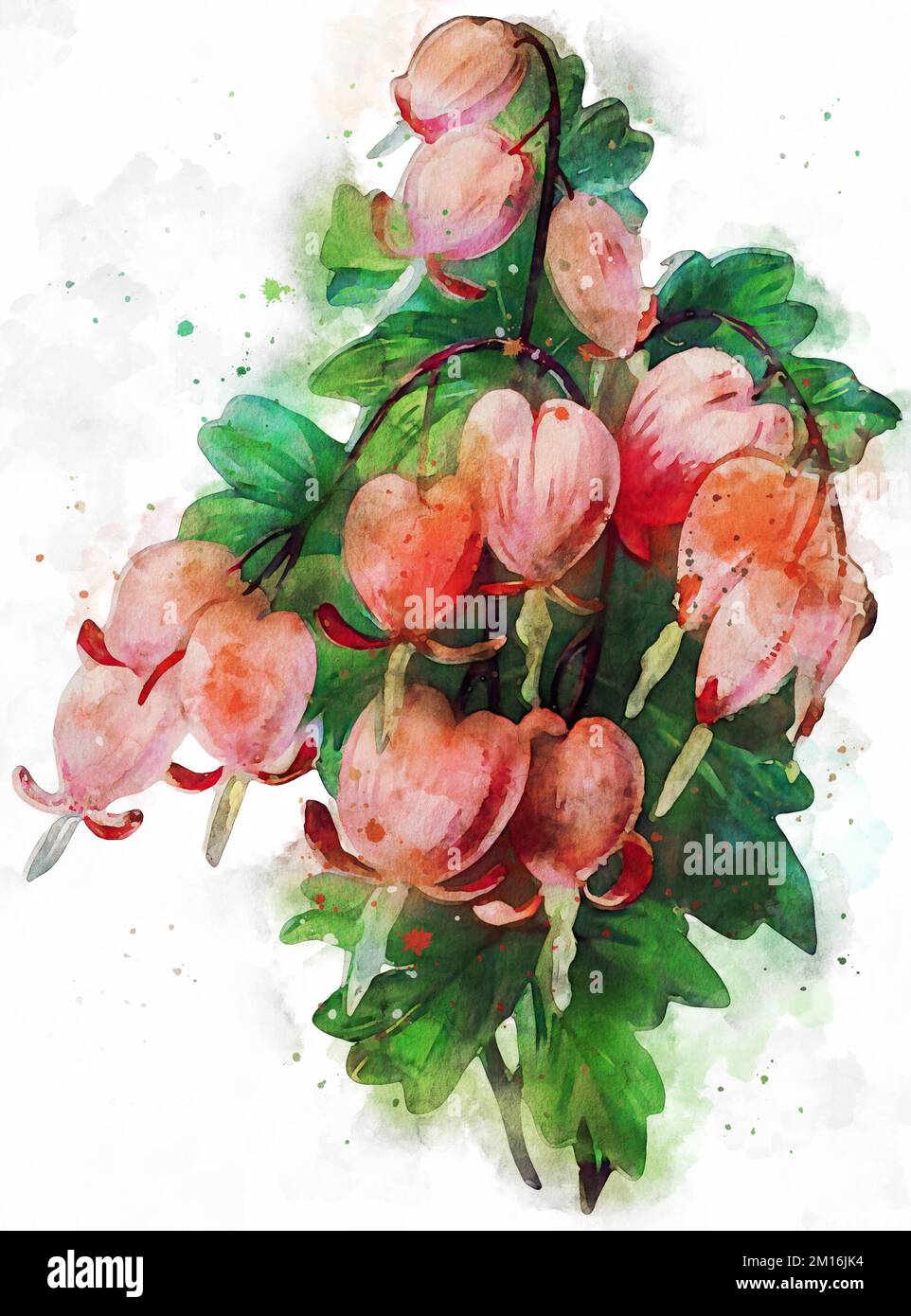 Watercolor Flower Illustration Stock Photo - Alamy