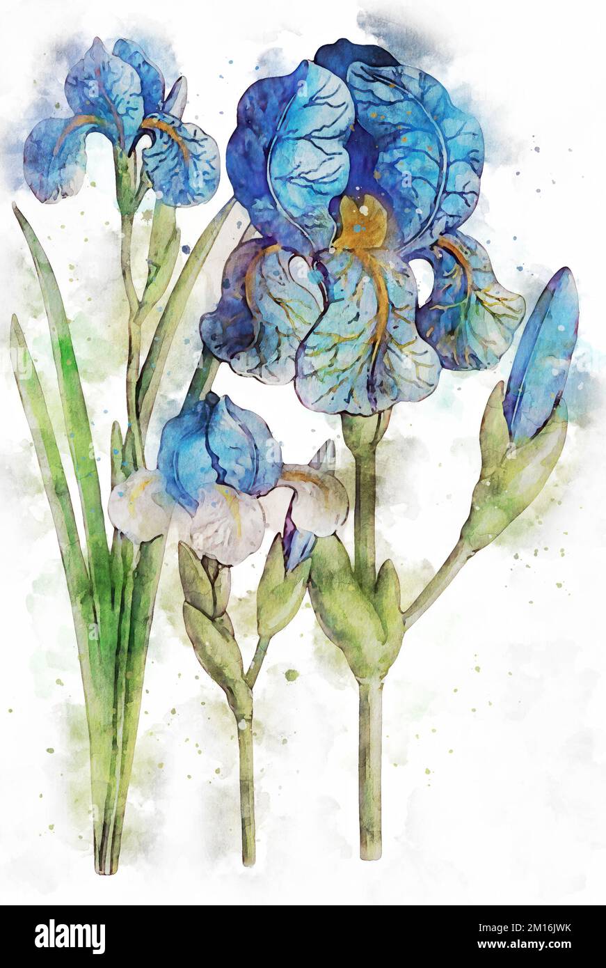Watercolor Flower Illustration Stock Photo - Alamy