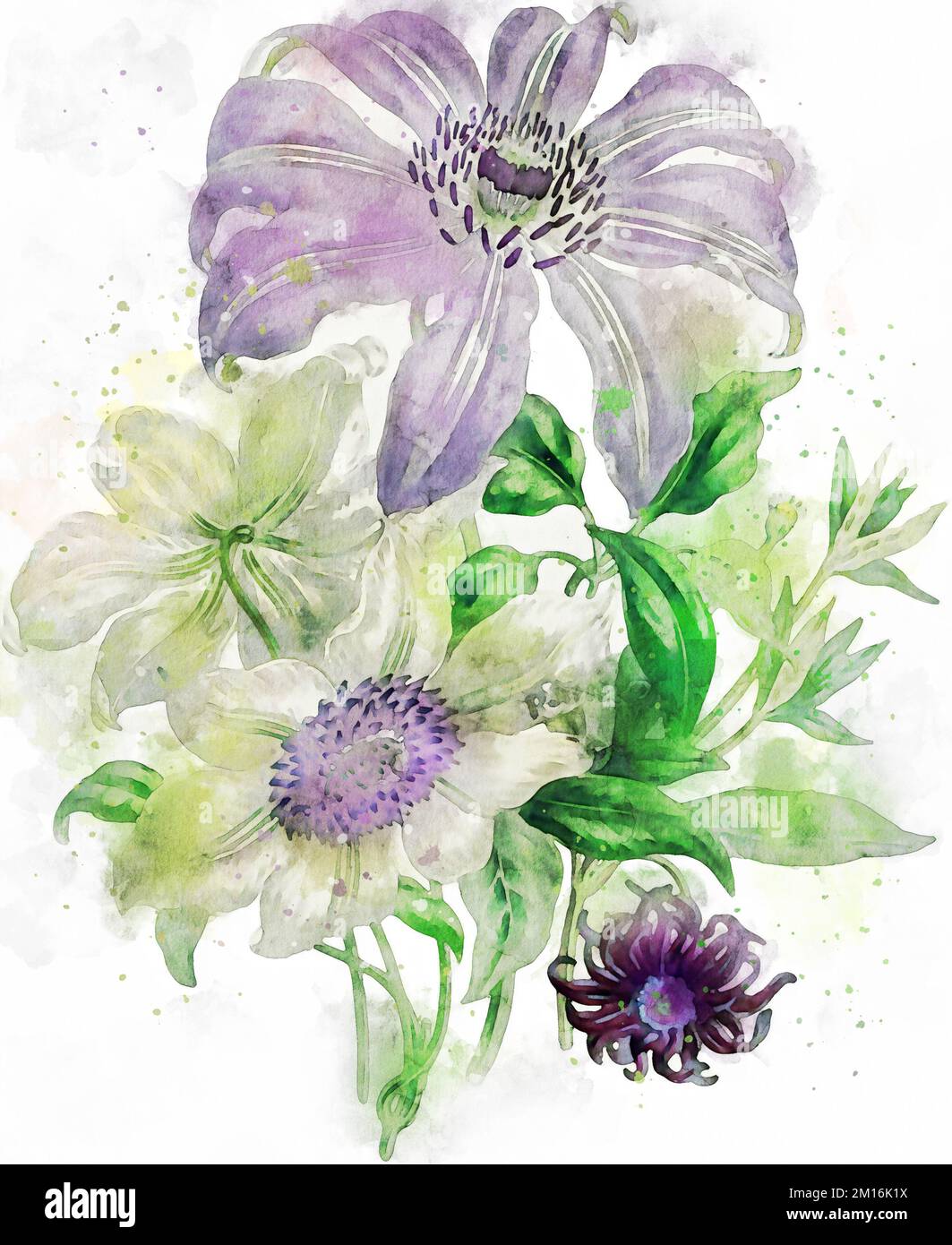 Watercolor Flower Illustration Stock Photo - Alamy