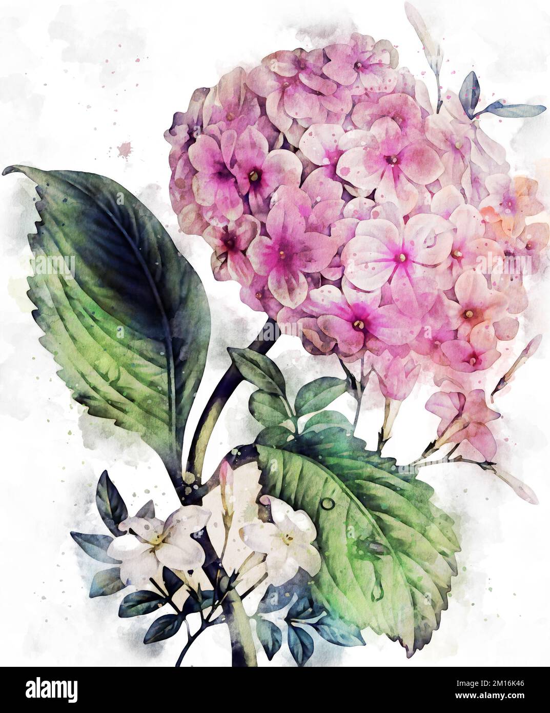 Watercolor Flower Illustration Stock Photo - Alamy