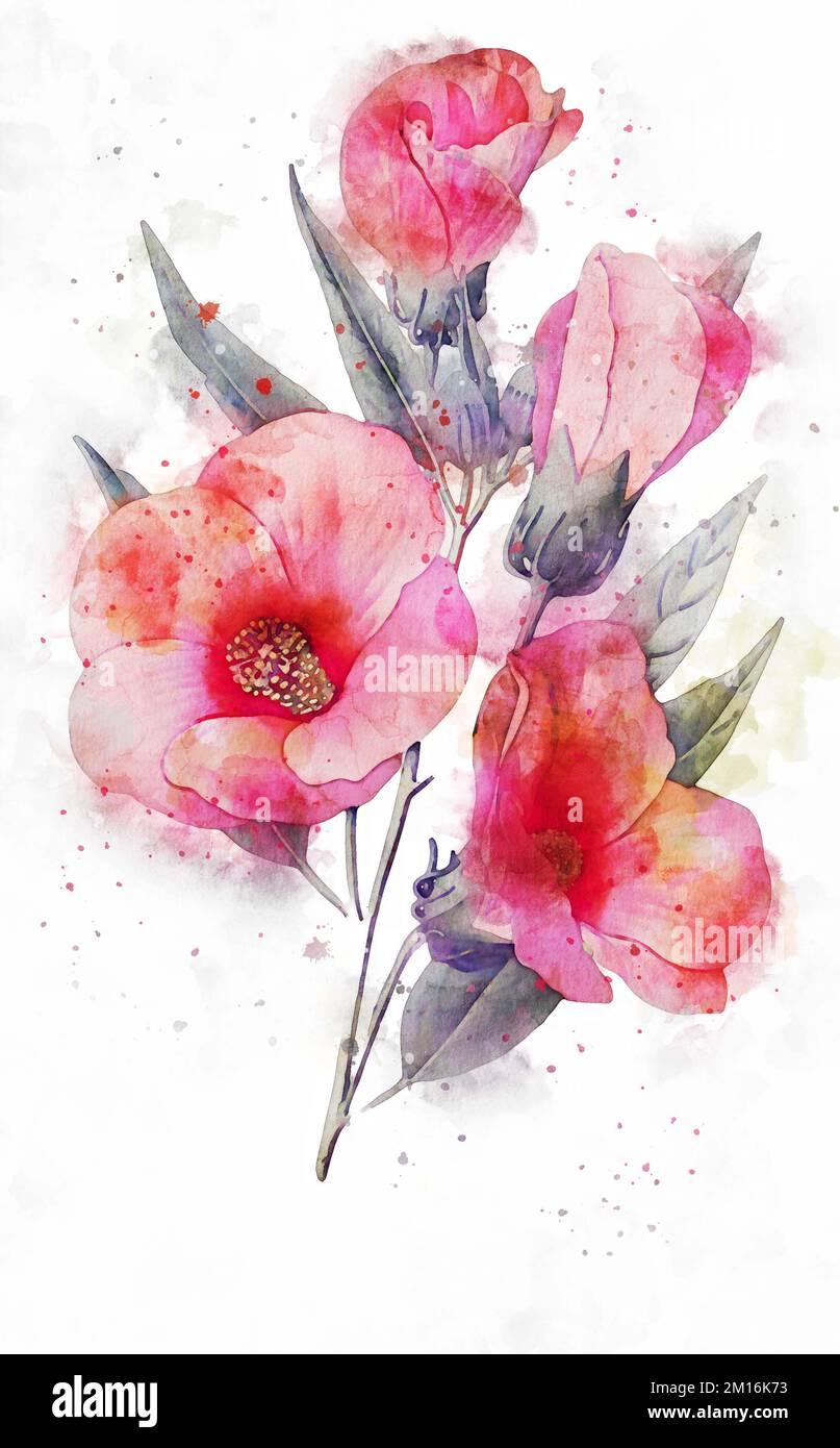Watercolor Flower Illustration Stock Photo - Alamy