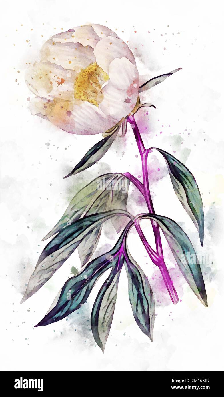 Watercolor Flower Illustration Stock Photo - Alamy