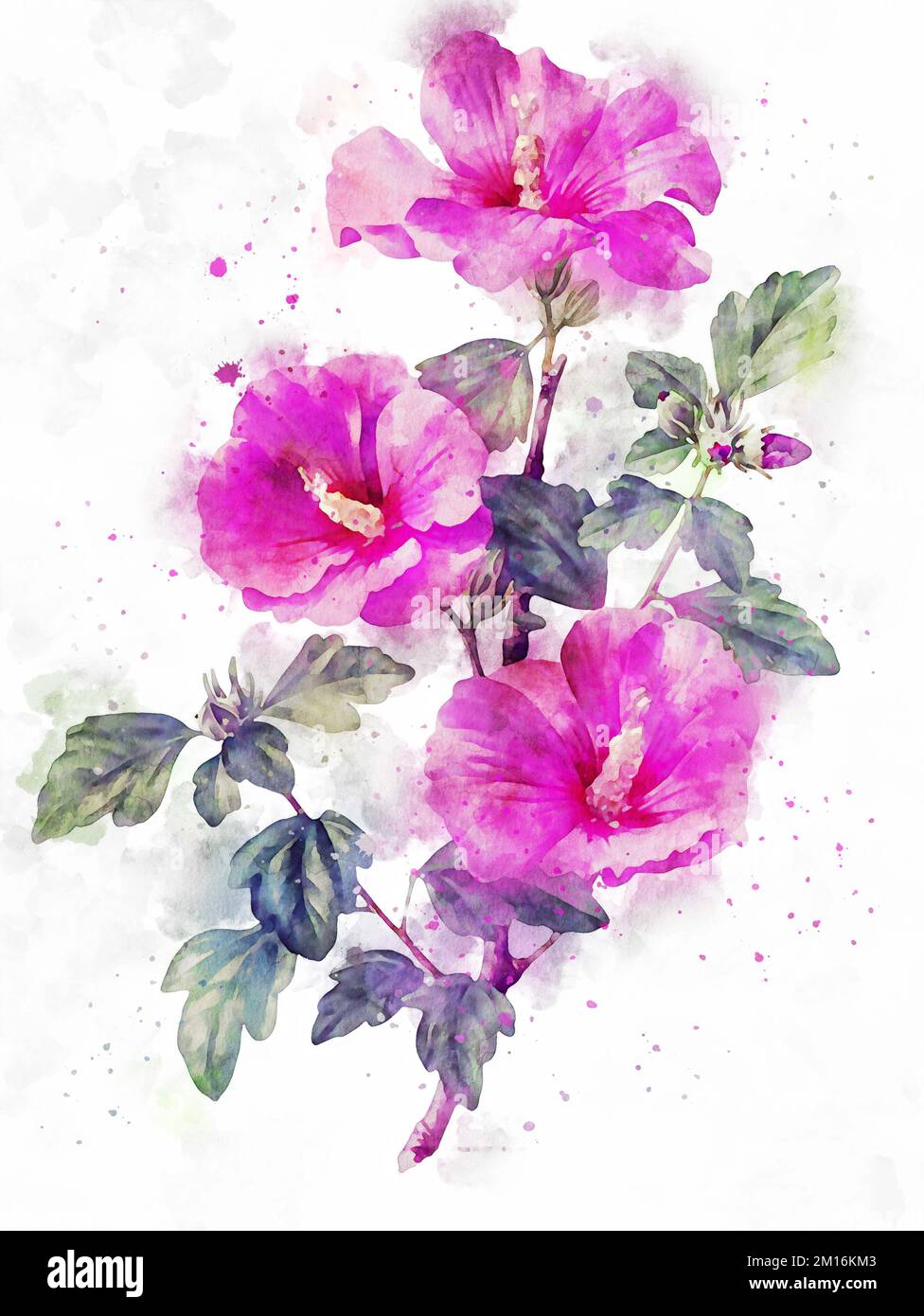 Watercolor Flower Illustration Stock Photo - Alamy