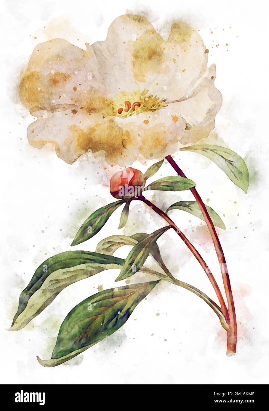Watercolor Flower Illustration Stock Photo - Alamy