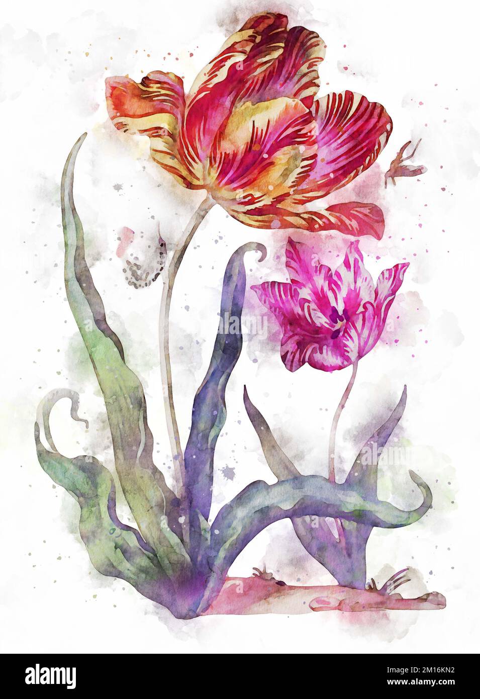 Watercolor Flower Illustration Stock Photo - Alamy