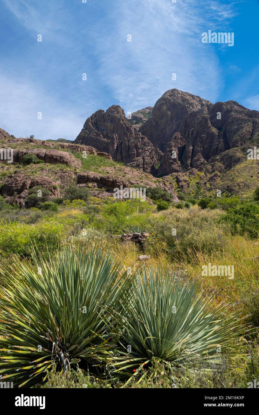 Dripping springs historical hi-res stock photography and images - Alamy