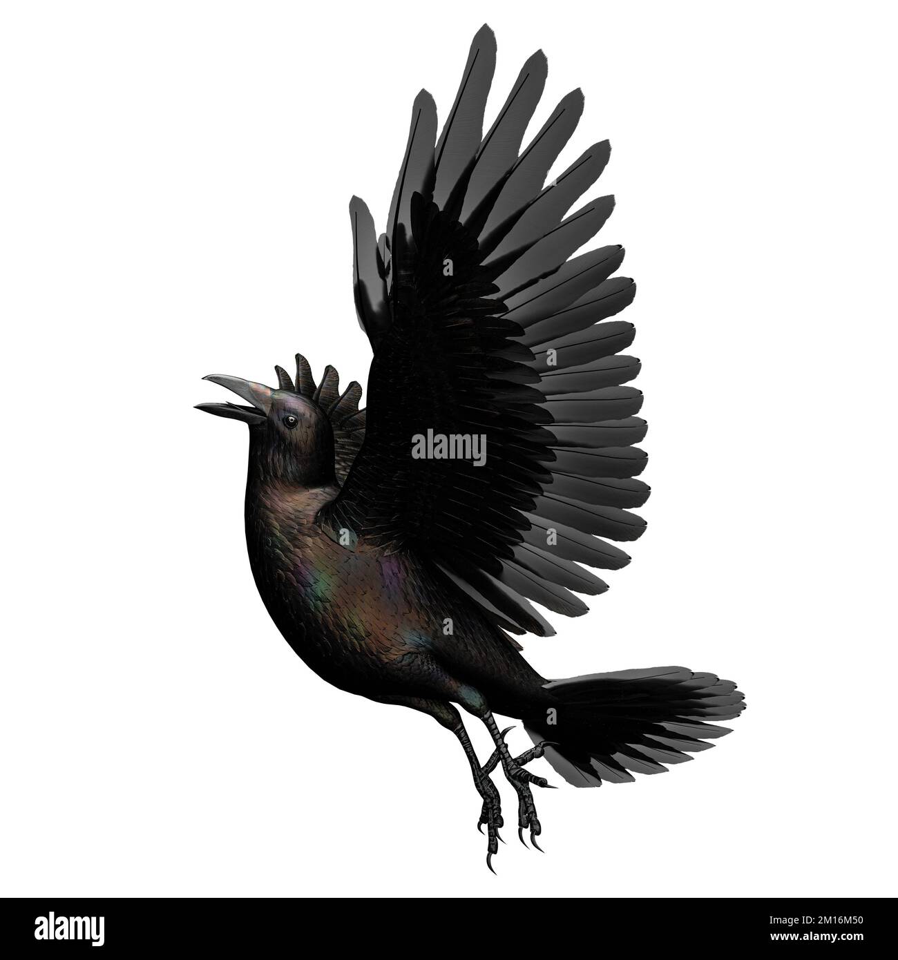 Black crow isolated on a white background, 3D Illustration, 3D ...
