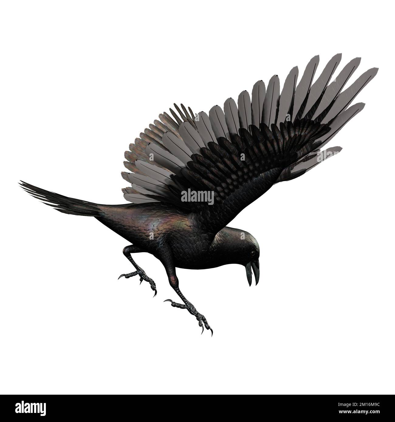 3d illustration crow wing hi-res stock photography and images - Alamy