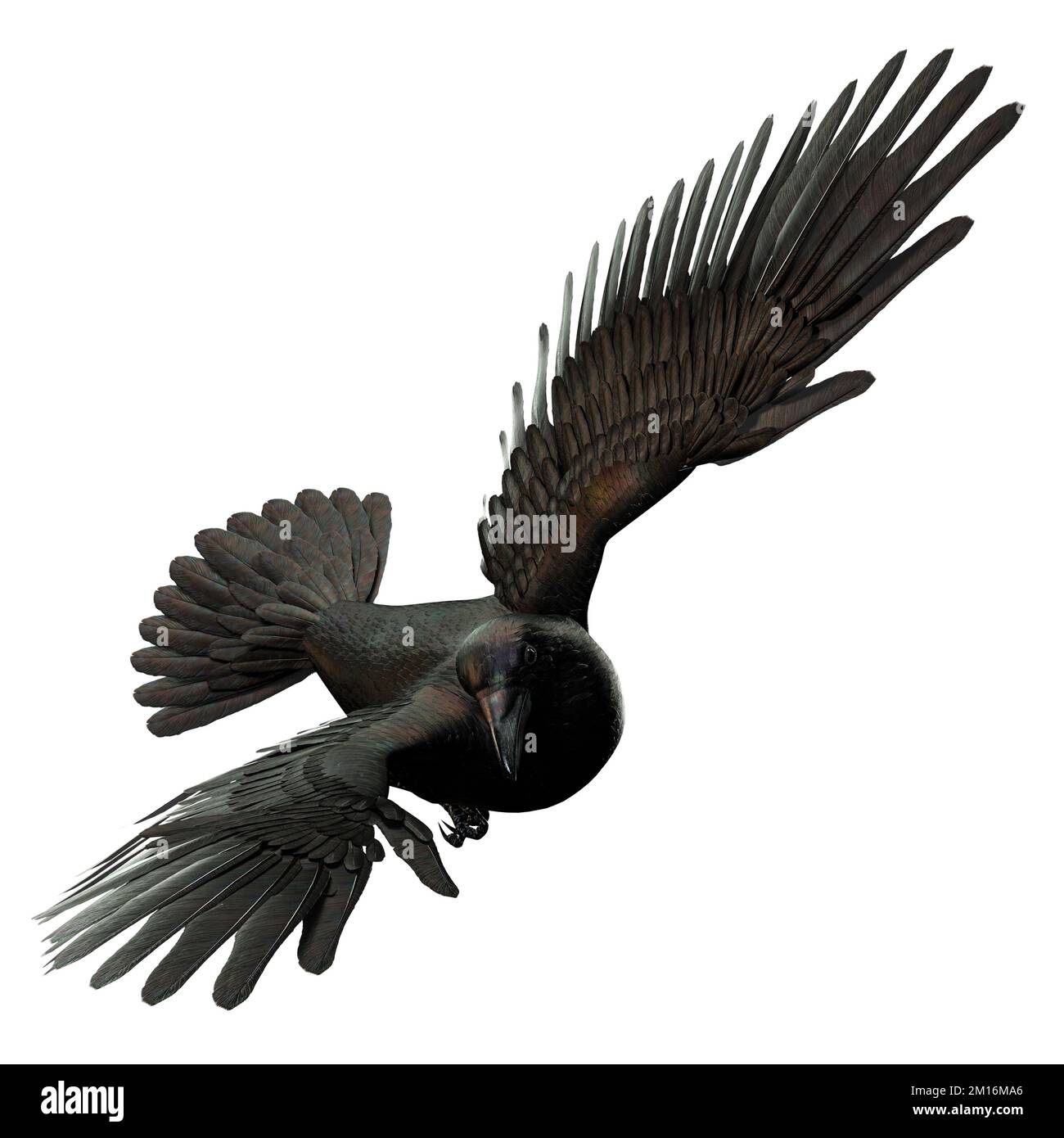 Black crow isolated on a white background, 3D Illustration, 3D ...