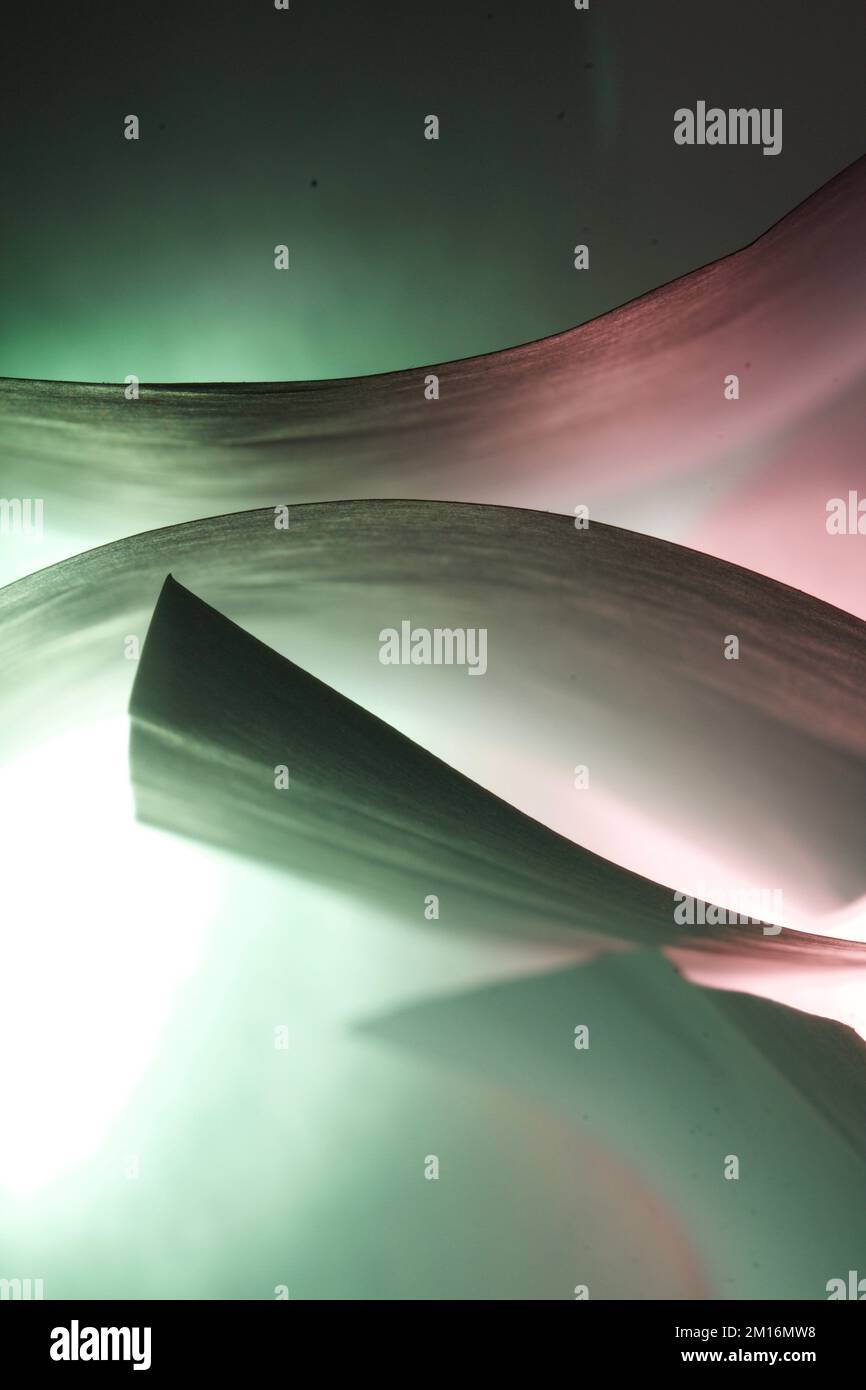 Circular paper art with straight edges and curved edges Stock Photo - Alamy