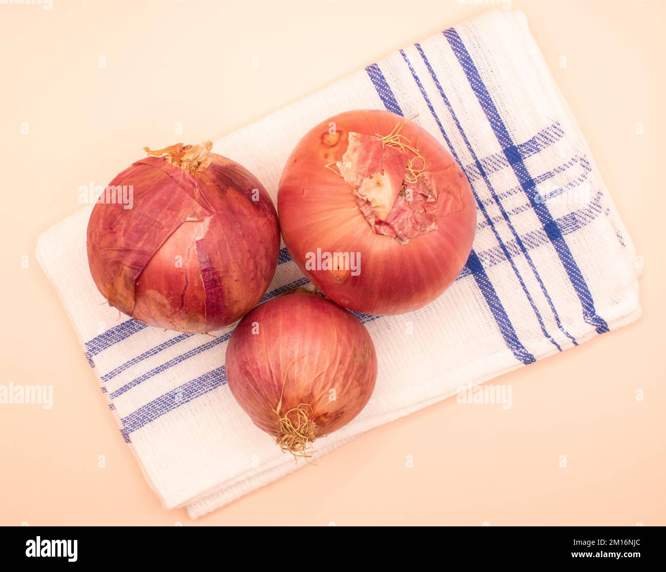 Pink onions from Roscoff (Bretagne) in a kitchen Stock Photo - Alamy