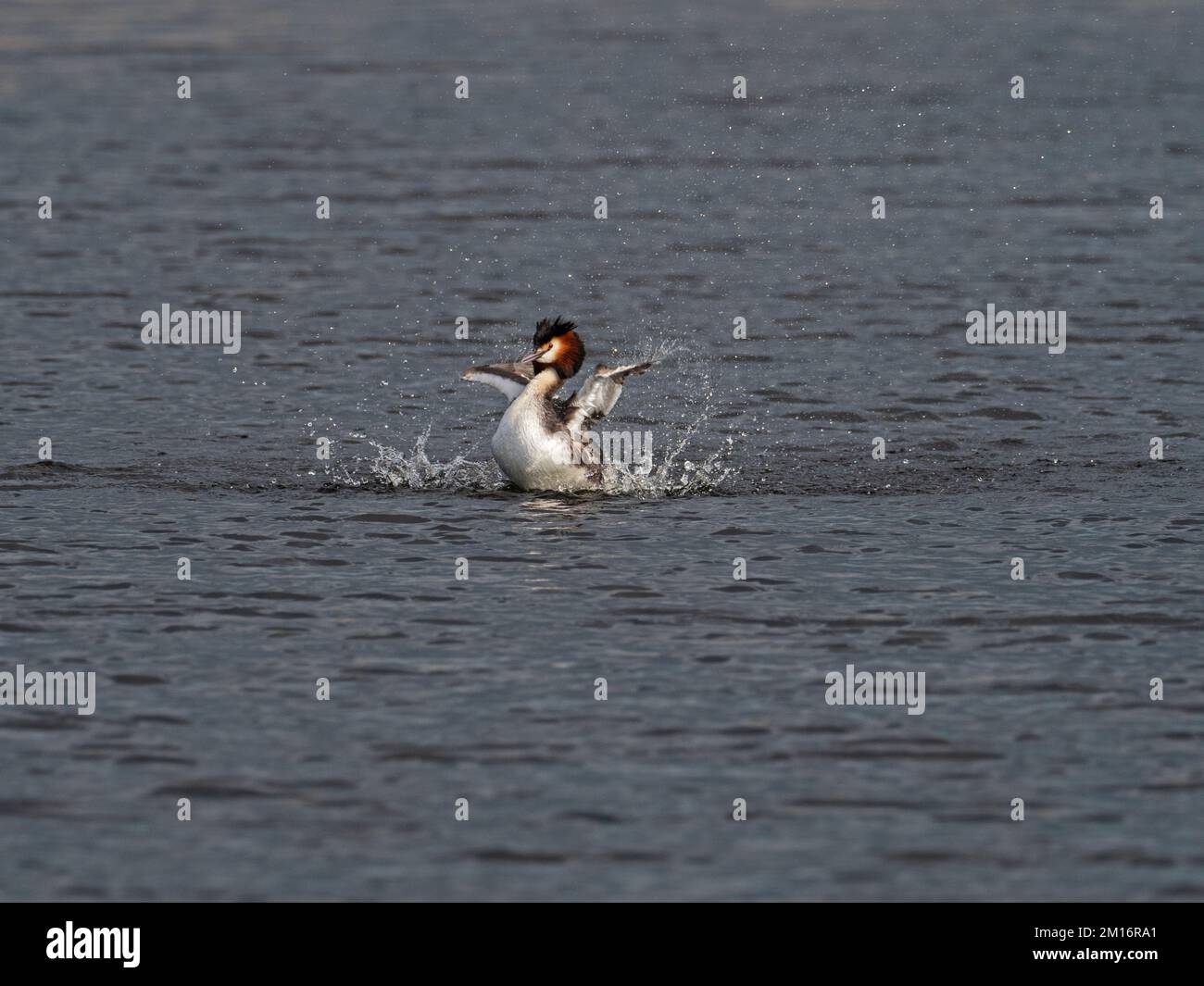 Raised moors hi-res stock photography and images - Alamy
