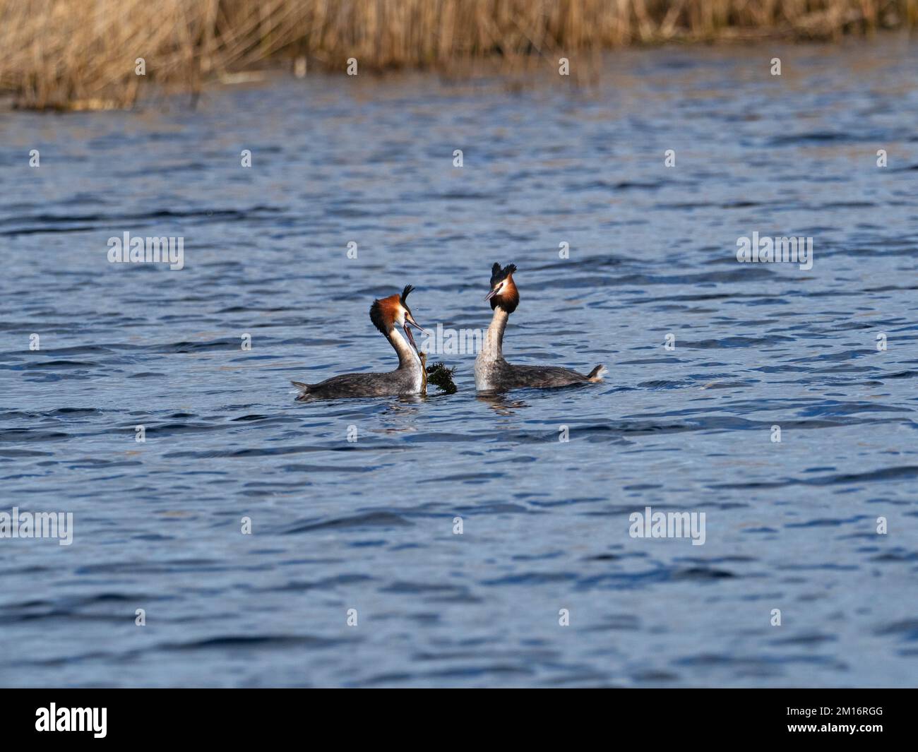 Dropping water levels hi-res stock photography and images - Alamy