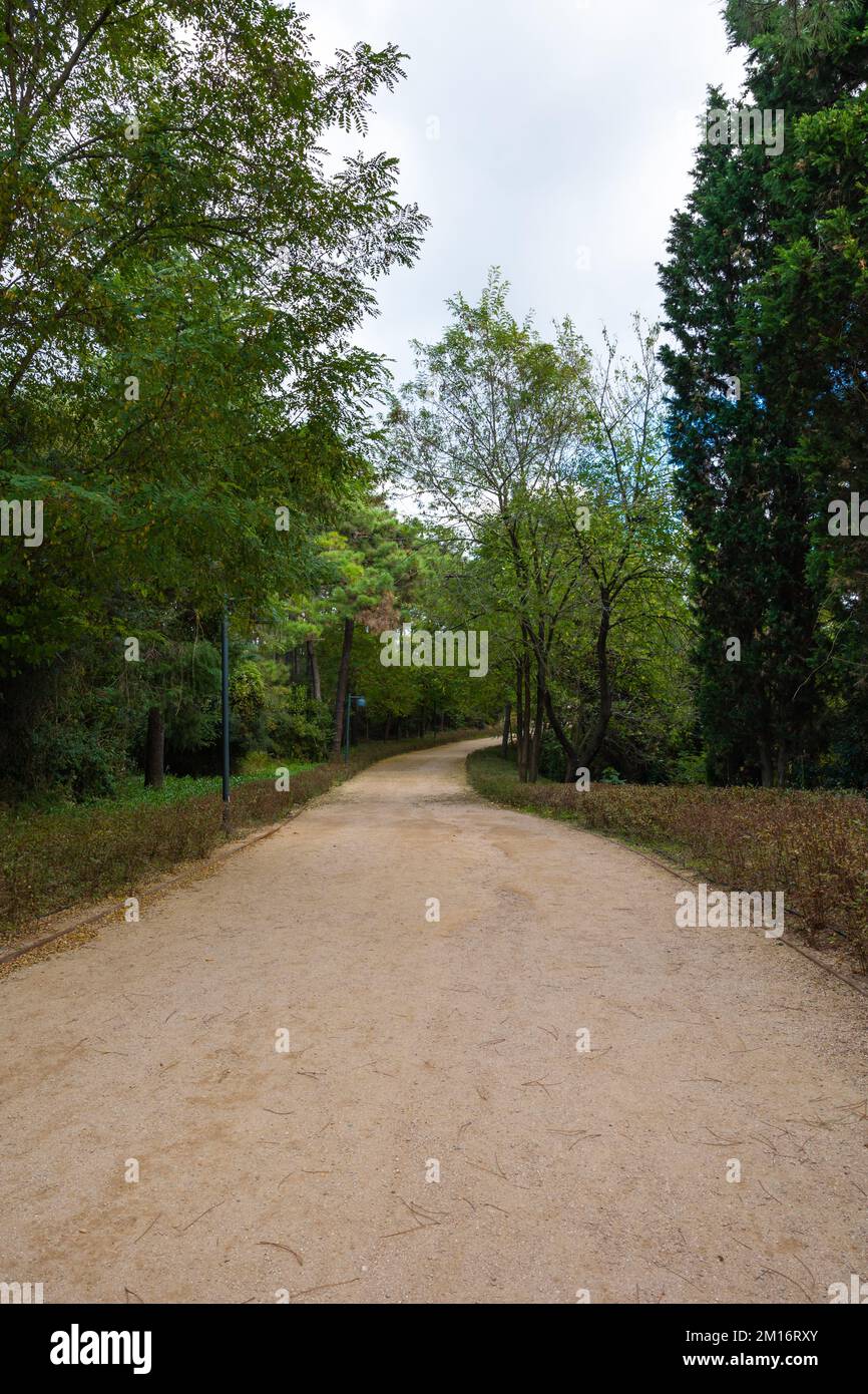 Jogging trail in the forest. Ataturk City Forest in Istanbul. Jogging ...