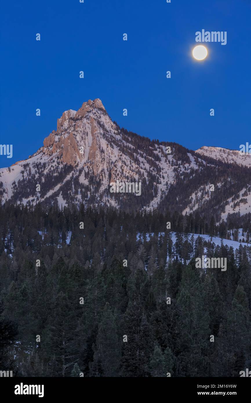 full moon setting behind ross peak in the bridger mountains in winter ...