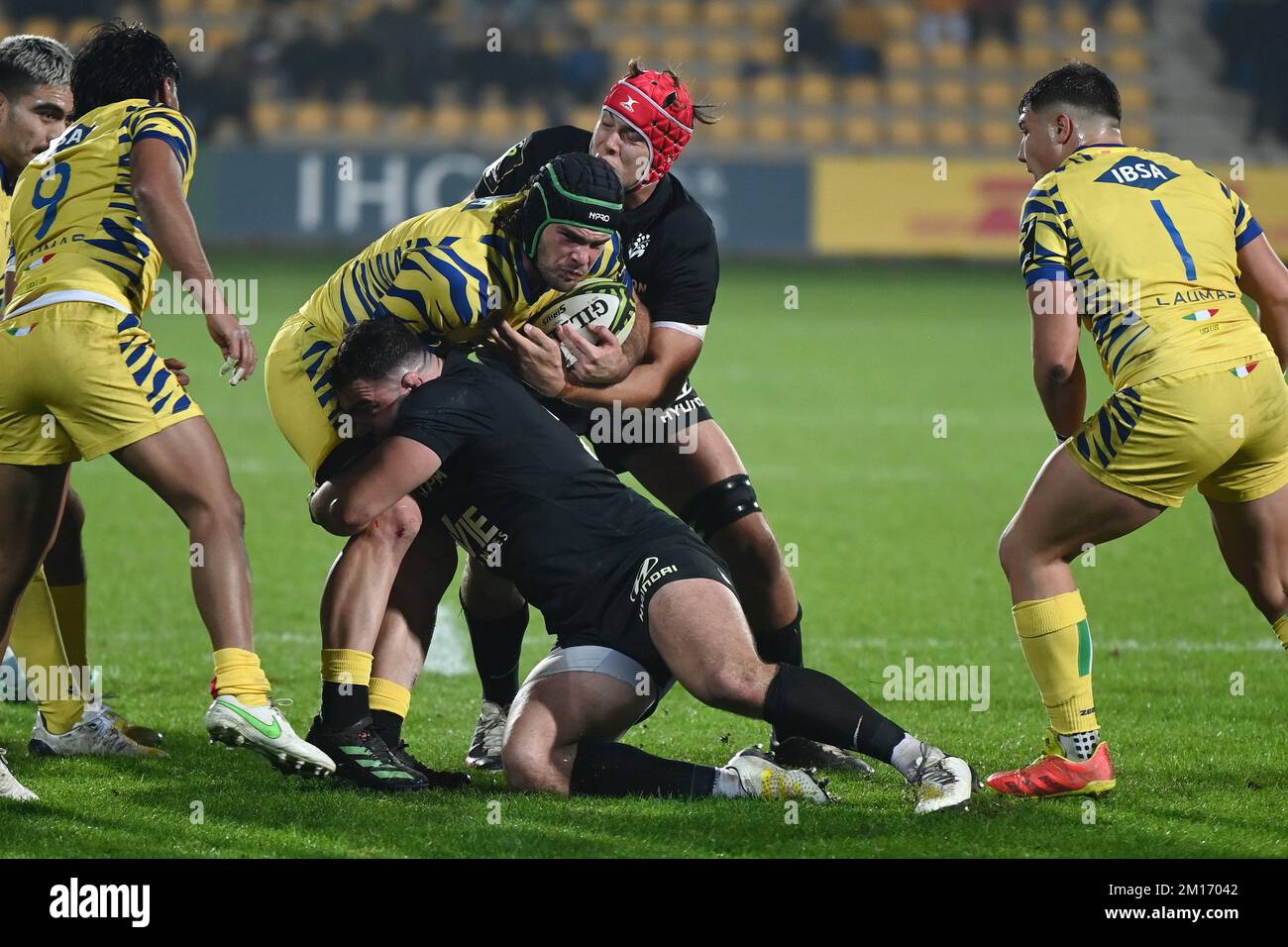 Parme zebre hi-res stock photography and images - Alamy