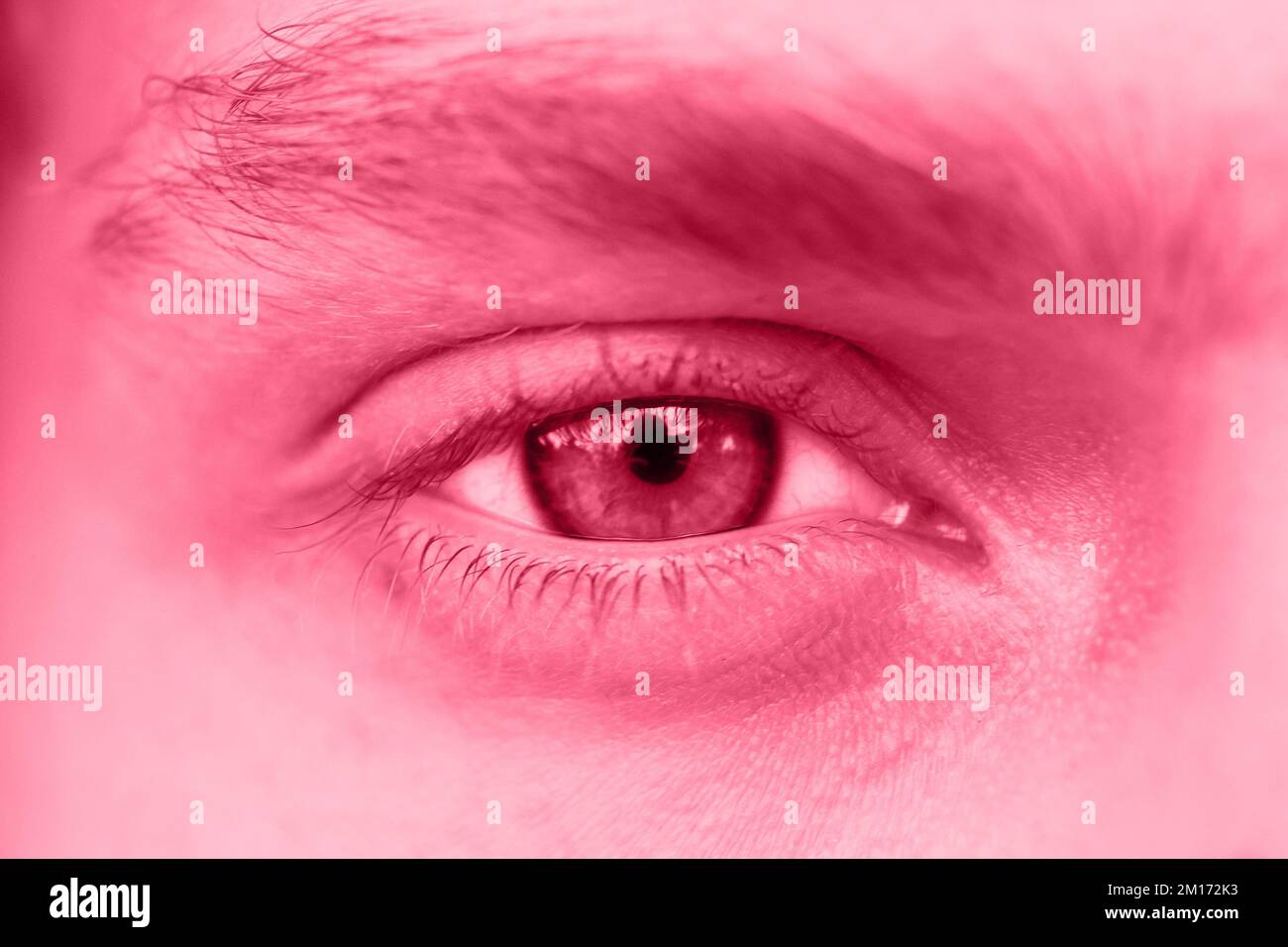 Iridology hi-res stock photography and images - Alamy