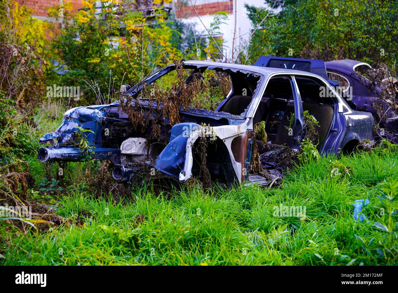 An old broken car in a green field Stock Photo - Alamy