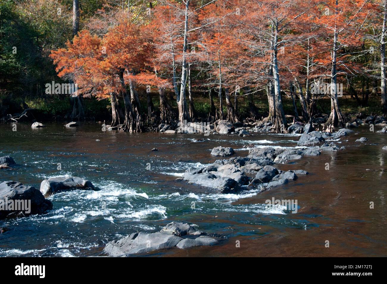 Bald river falls waterfall hi-res stock photography and images - Alamy