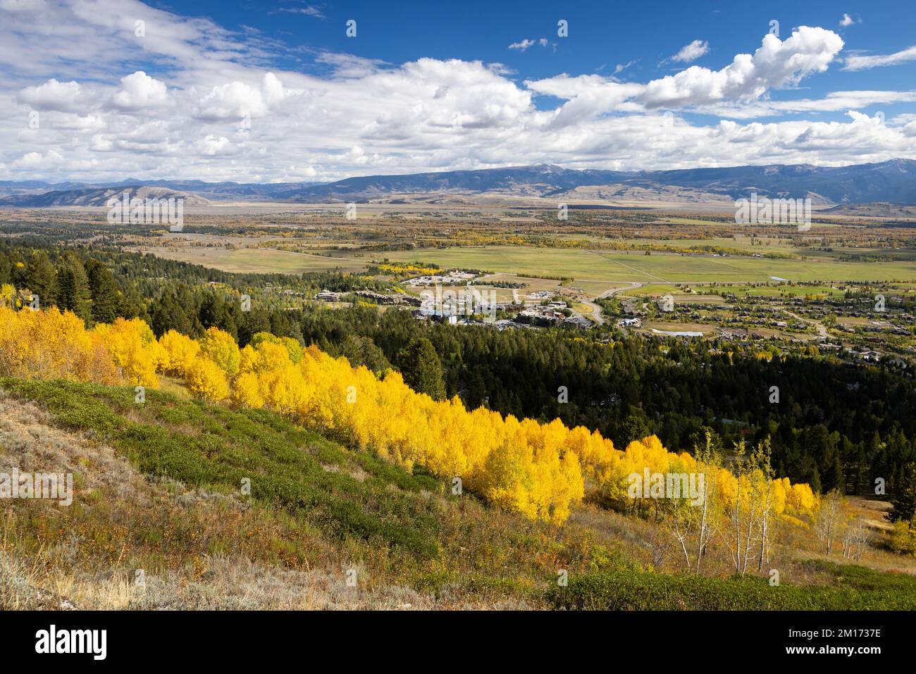 Autumn aspens bursting with color above the valley of Jackson Hole ...