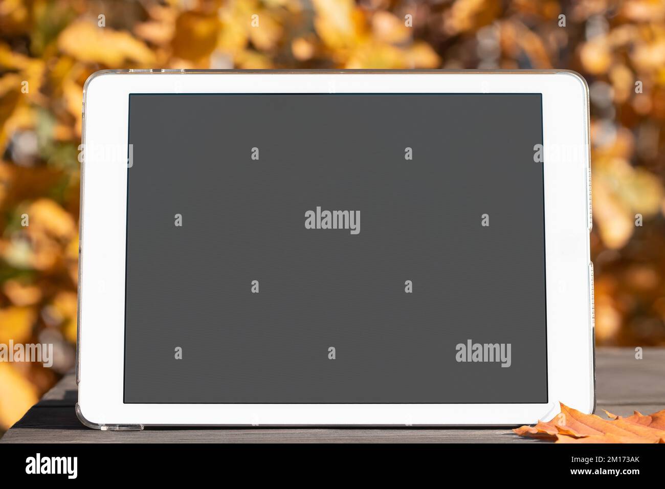 Tablet with a blank screen on the table against the backdrop of an ...