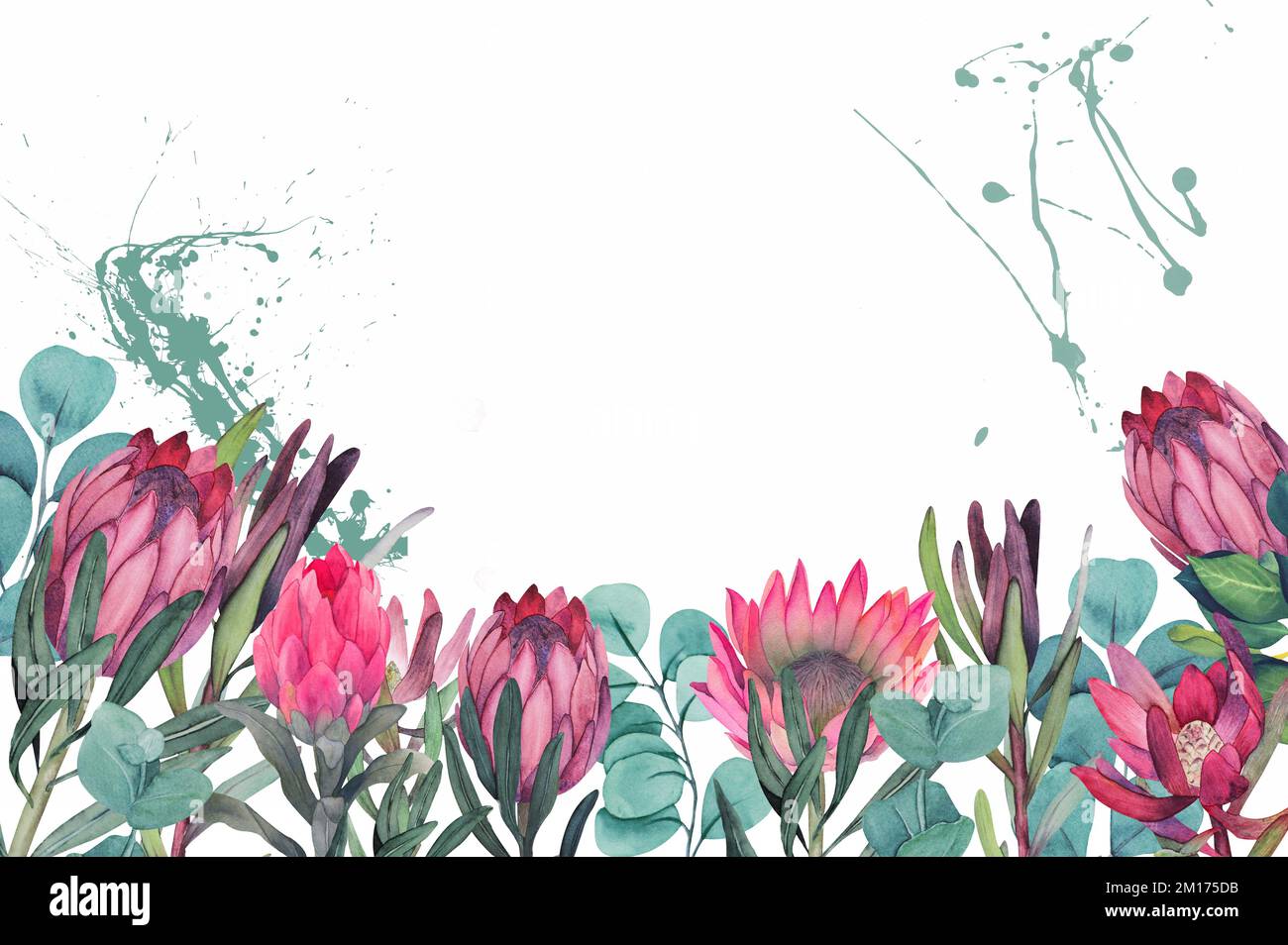 Hand painted foliage border hi-res stock photography and images - Alamy