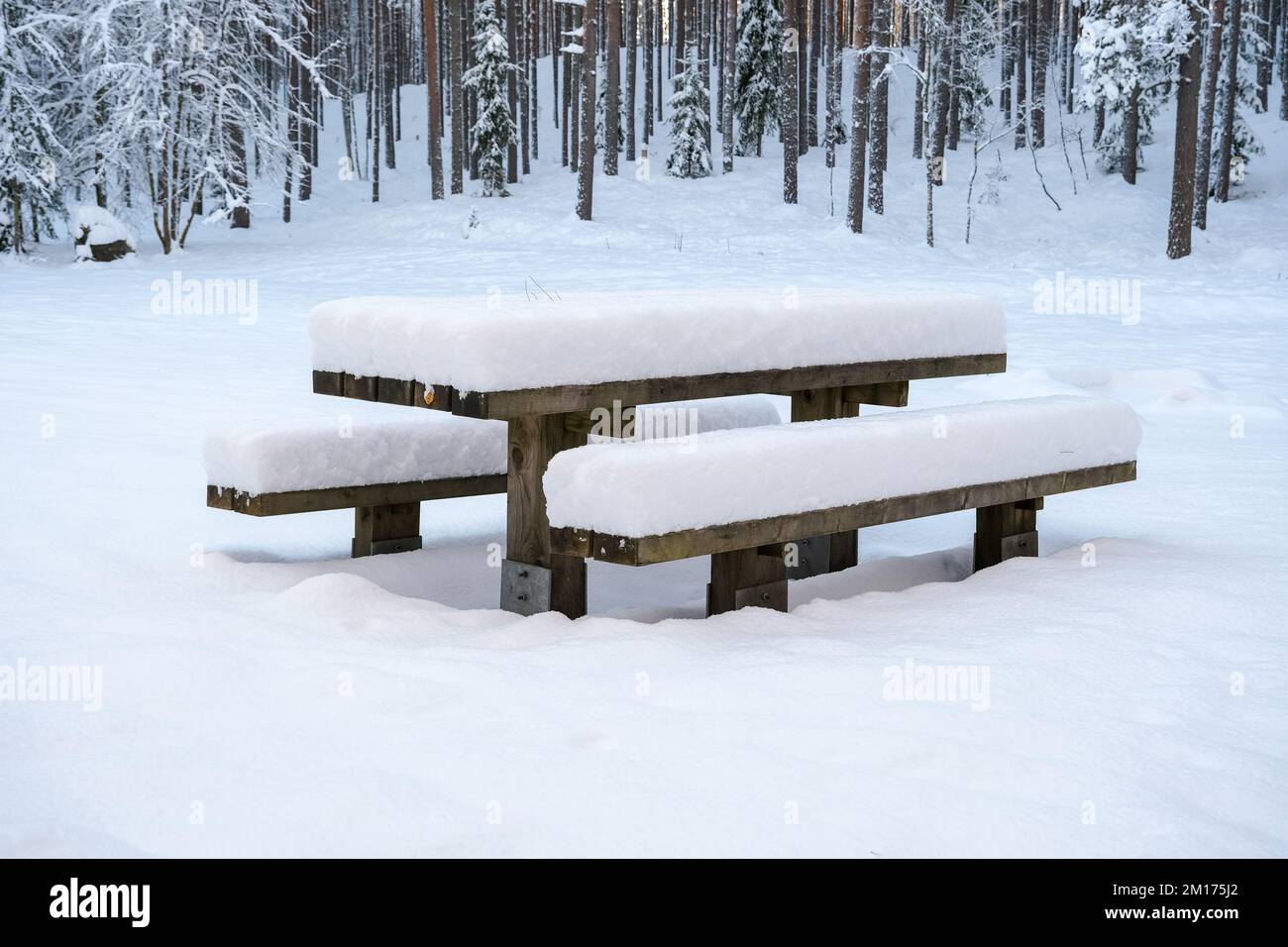 A deep, heavy layer of untouched, fresh, fluffy white snow covers the ...