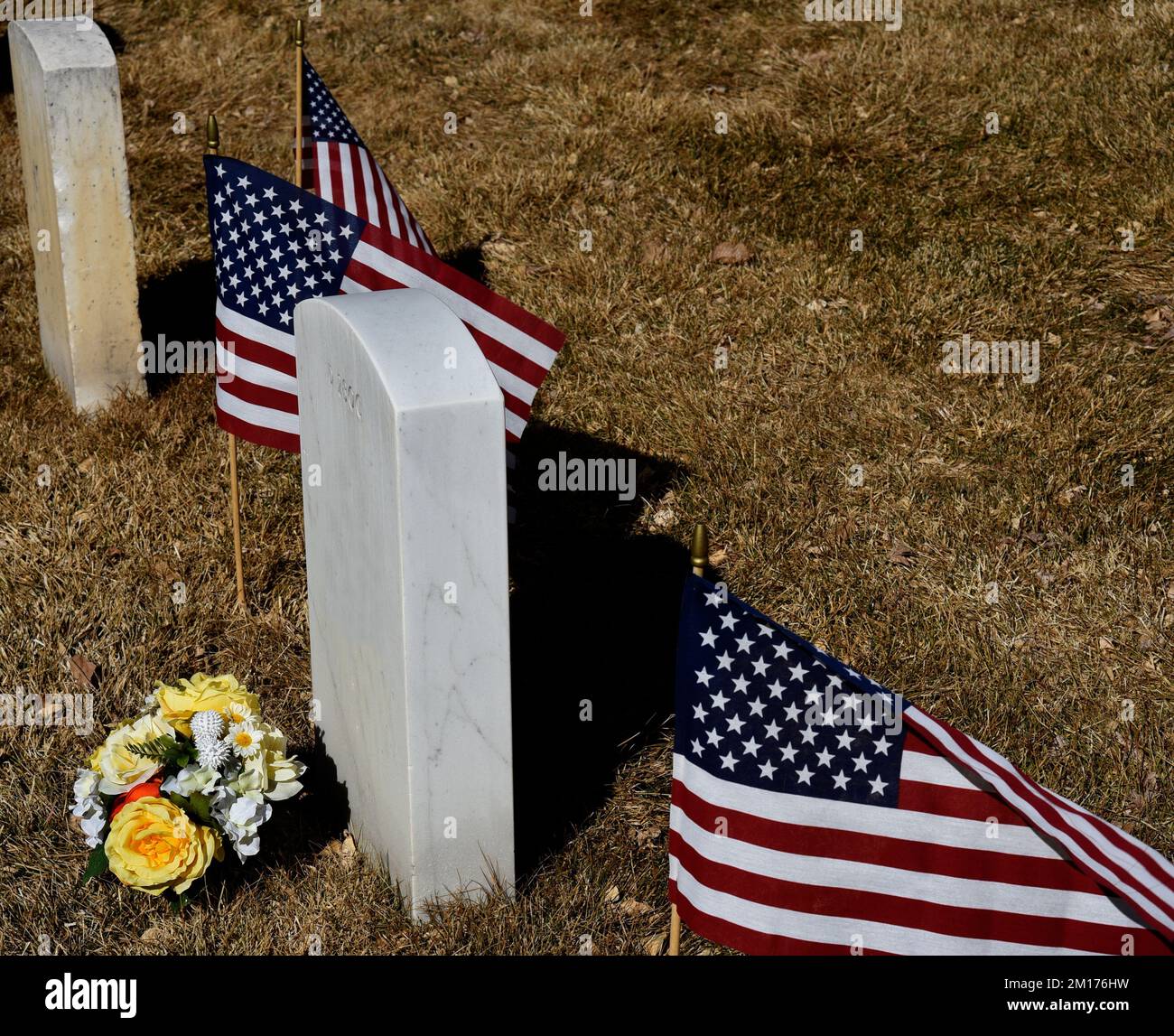 Small American flags fly beside the graves of US military veterans ...