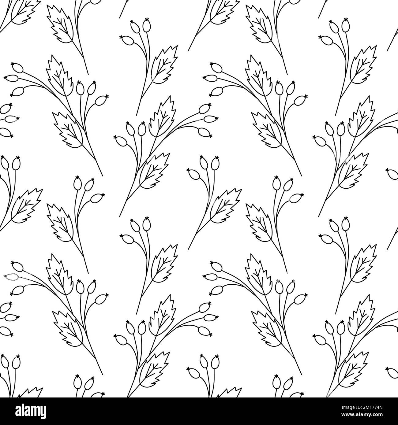 Endless pattern from Outline rosehip branches. Abstract background ...
