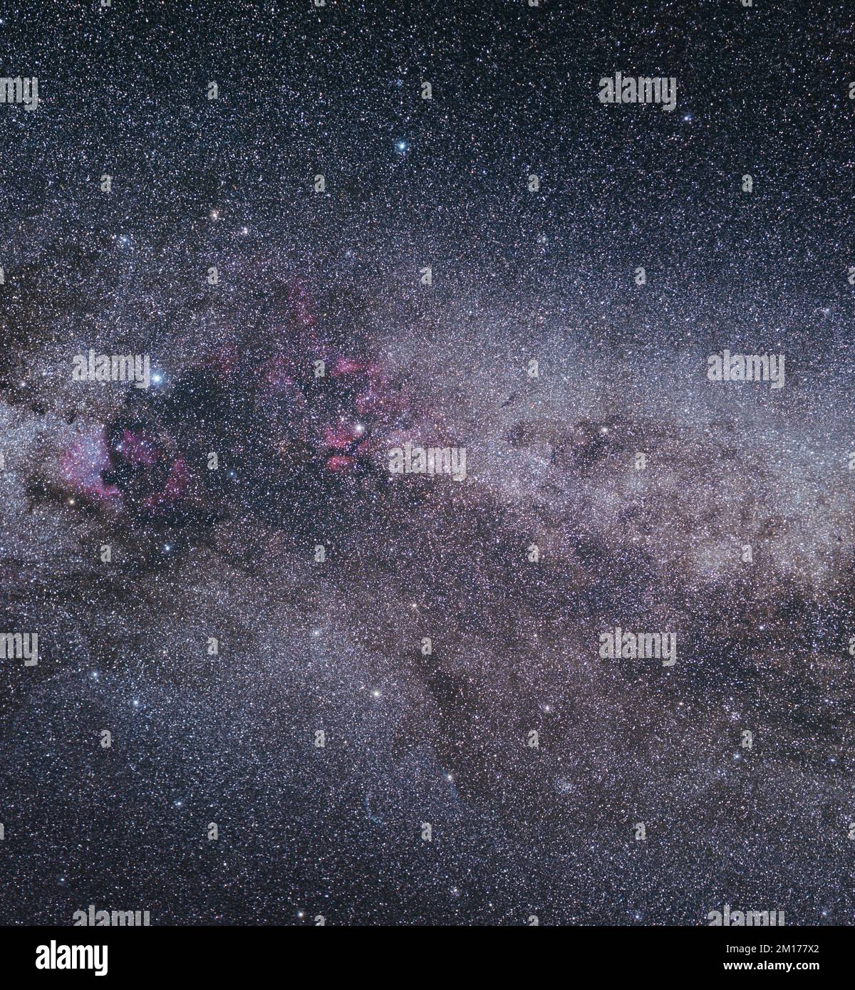 A beautiful starry galaxy night sky with the swan cygnus constellation ...