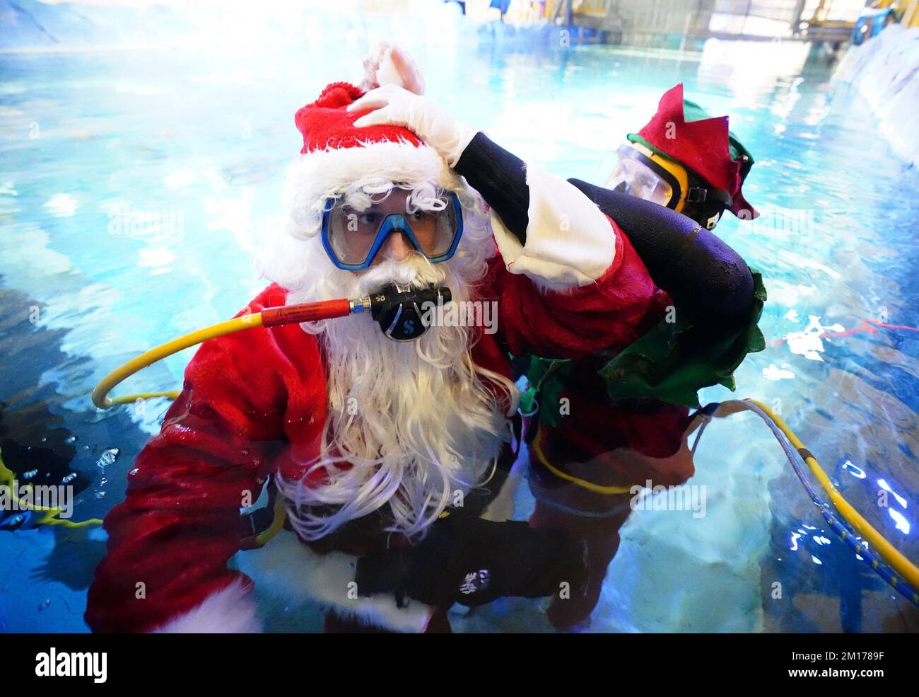 Elf swimming hi-res stock photography and images - Alamy