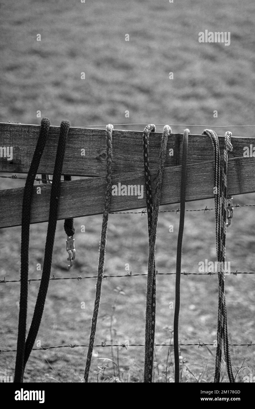 A vertical grayscale shot of ropes hanging on a barn fence Stock Photo ...