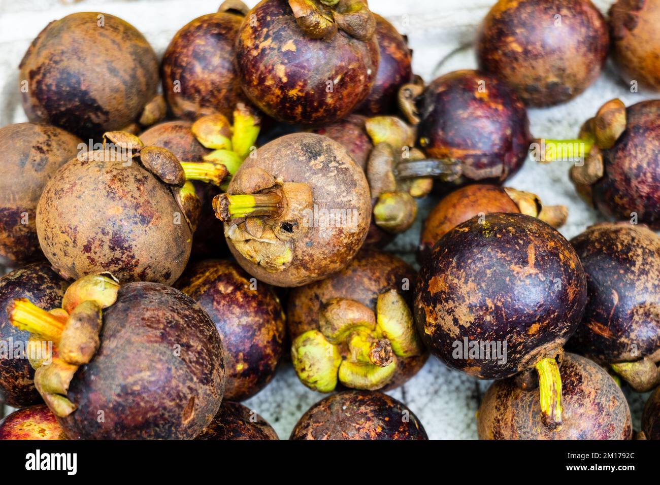 mangosteen fruits for sale at organic market in Asia. pile of ...
