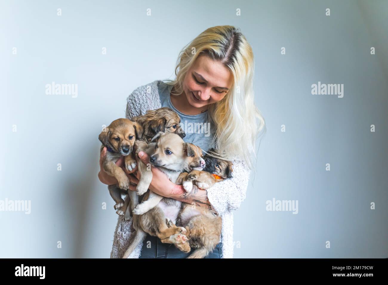 Happy young adult caucasian woman holding five mix-breed homeless ...