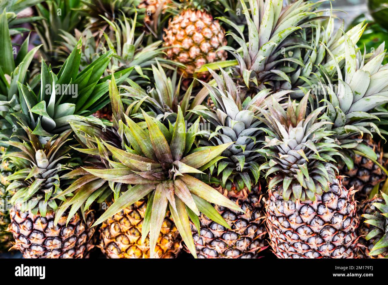 Pile durian hi-res stock photography and images - Alamy