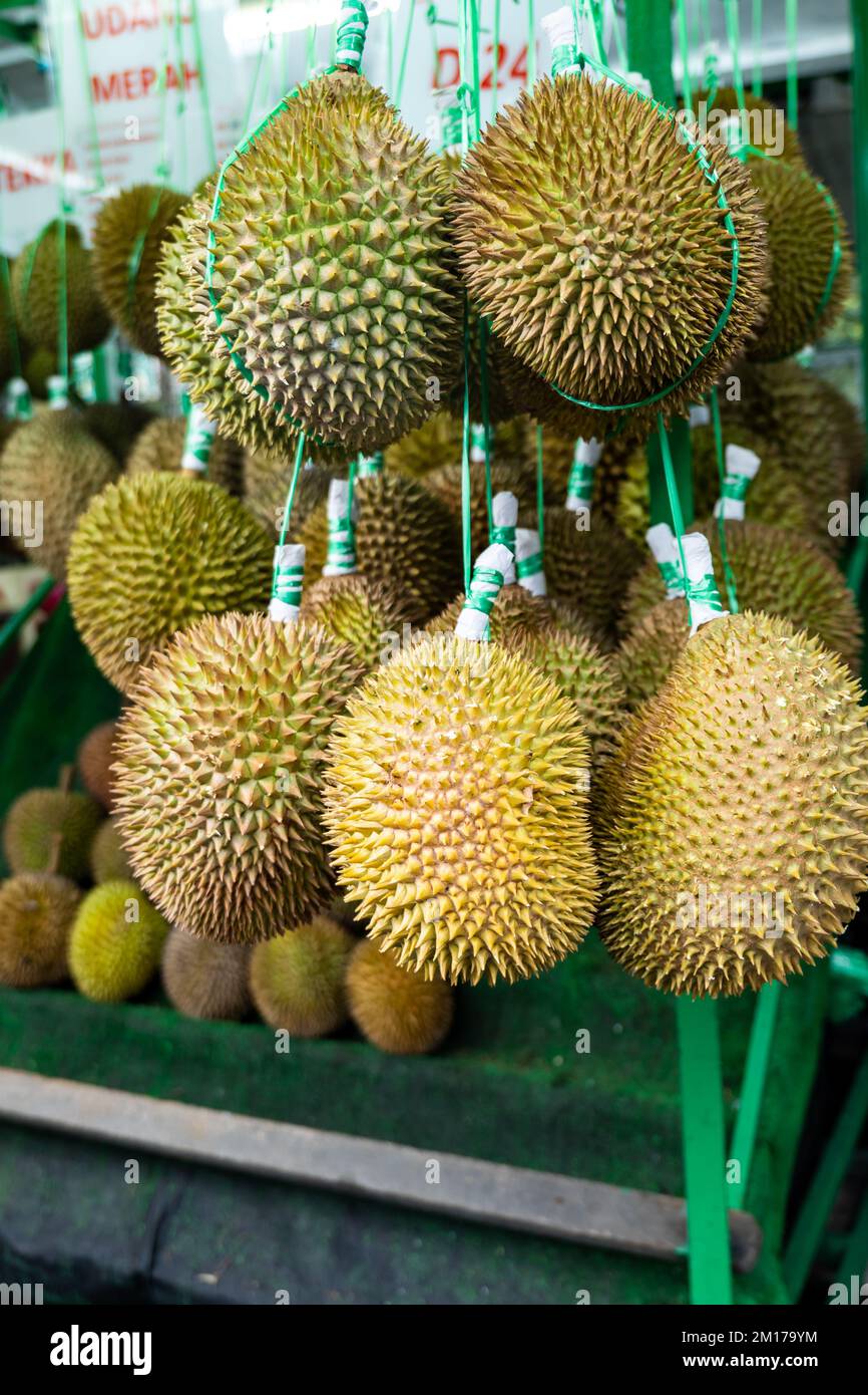 Durian fruit in fruit market in Asia. The durian is the edible fruit of ...
