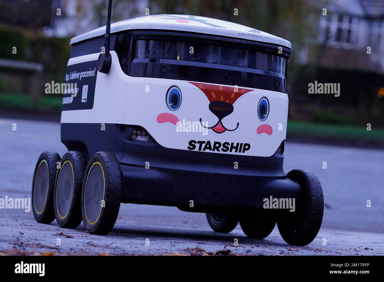 Starship Technologies grocery delivery robots decorated as reindeers ...